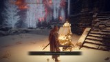 Falling Snow Marks Something Unseen: Heretical Rise Elden Ring Puzzle ...