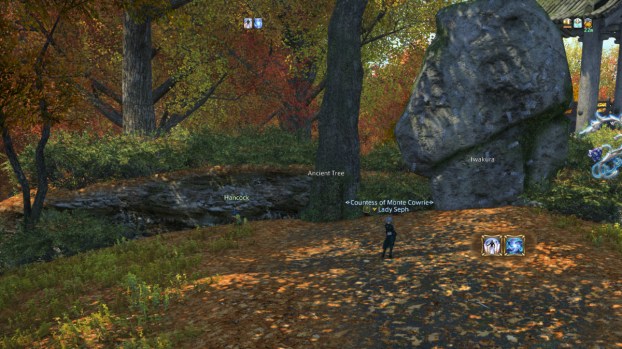 FFXIV Mount Rokkon - All Variant Dungeon Paths - Twinfinite