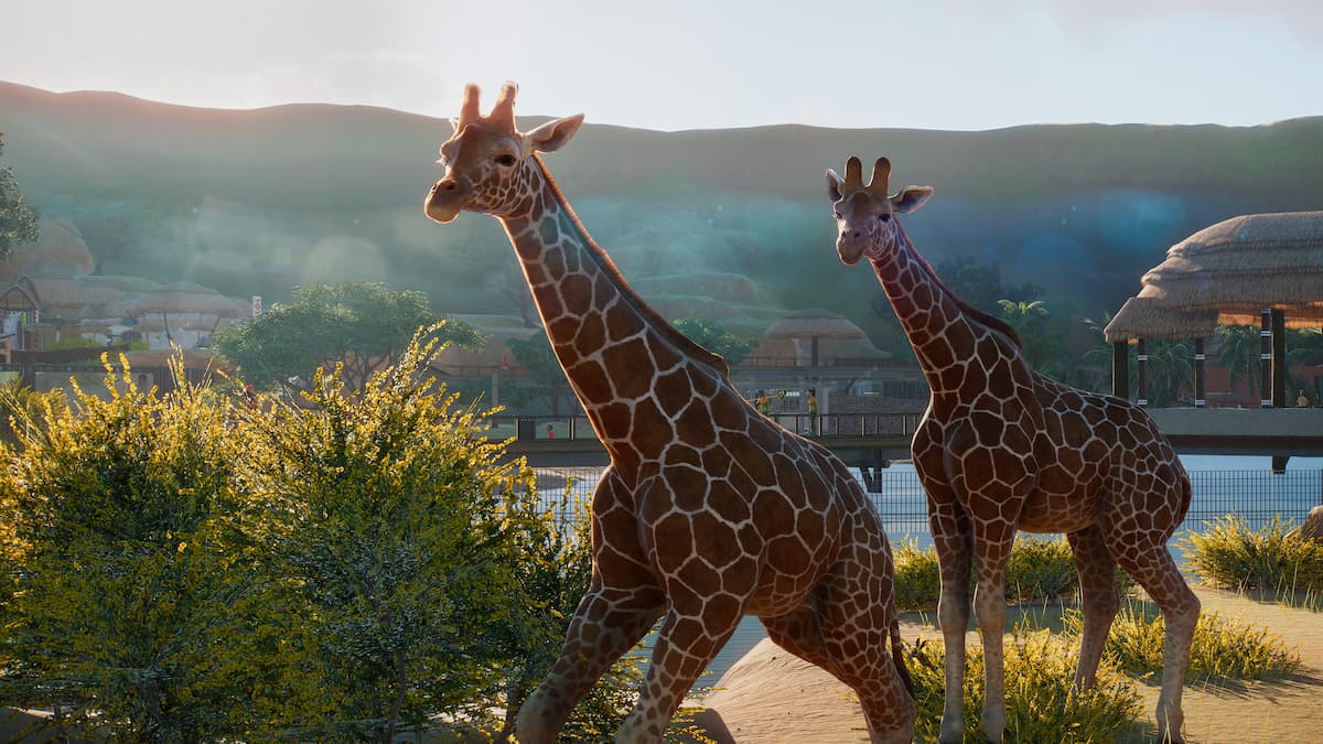 Planet Zoo Cheats: What You Need to Know - Twinfinite