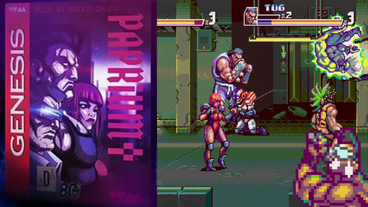 Top 10 Rarest SEGA Genesis Games That Are Worth a Fortune - Twinfinite