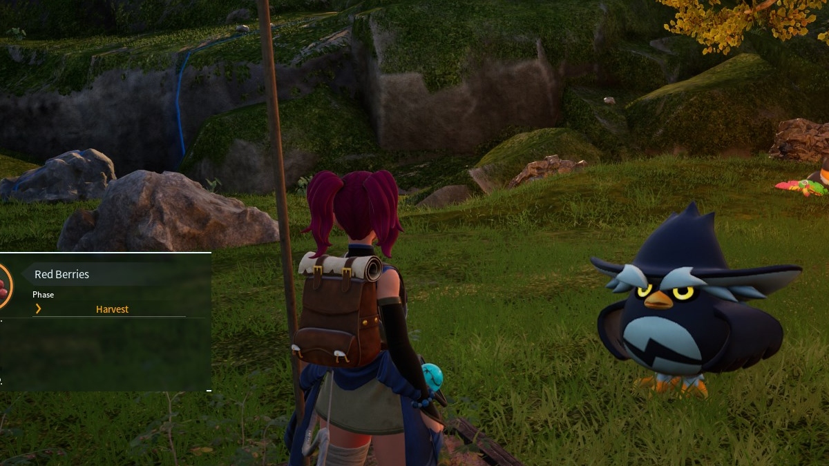 Where to Find Hoocrates in Palworld - Twinfinite