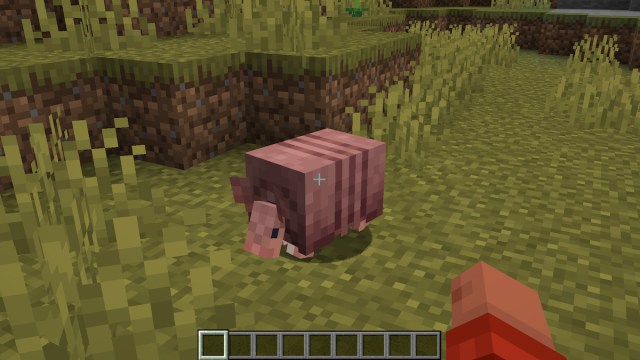 Where to Find Armadillo in Minecraft (& What It Does)