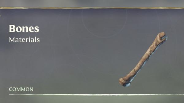 How to Get Bones in Enshrouded - Twinfinite