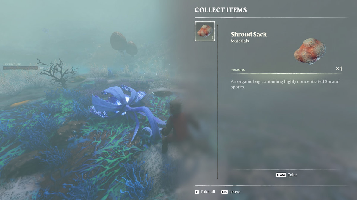 How to Get Shroud Sacks in Enshrouded - Twinfinite