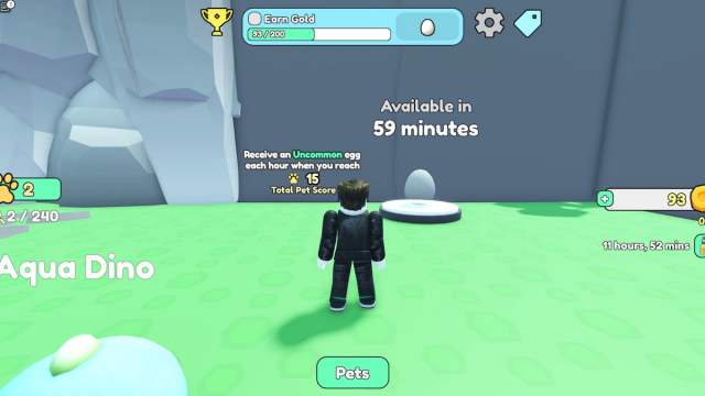 Collect All Pets Codes - Twinfinite