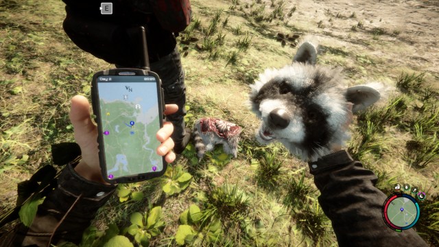 Where to Find Raccoons in Sons of the Forest - Twinfinite