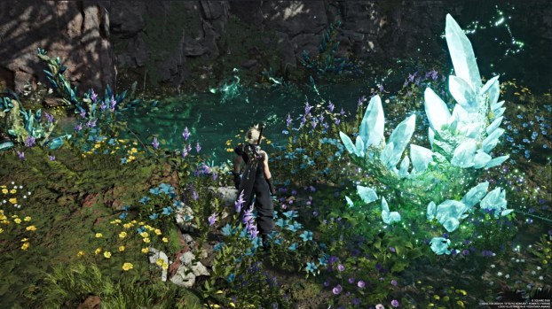 All Lifespring Locations in Final Fantasy 7 Rebirth - Twinfinite