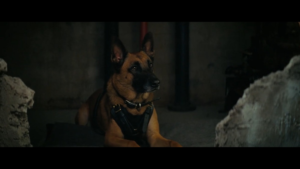 All Fallout Season 1 Episodes Ranked - Twinfinite