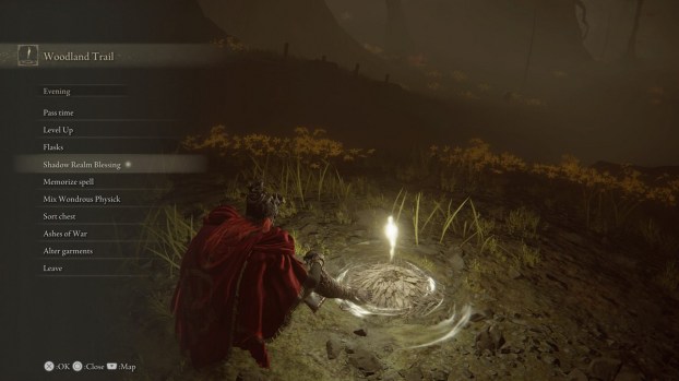 How to Get & Use Scadutree Fragments in Elden Ring Shadow of the ...