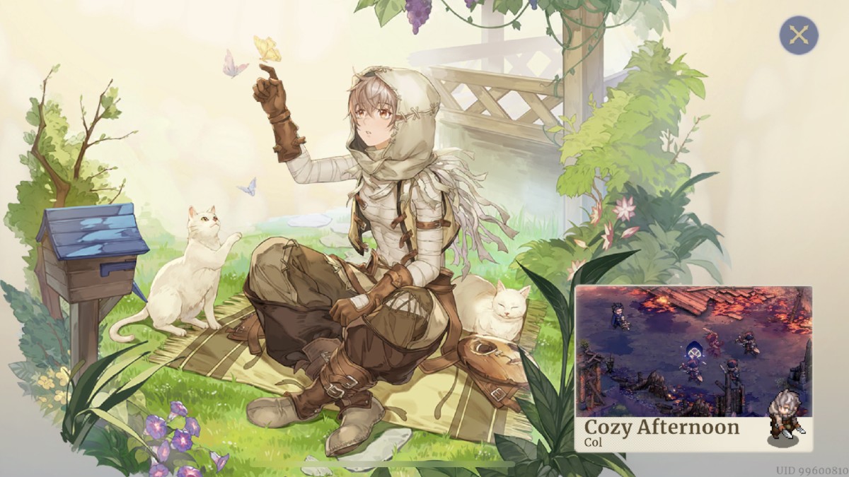 Best Col Build in Sword of Convallaria - Twinfinite