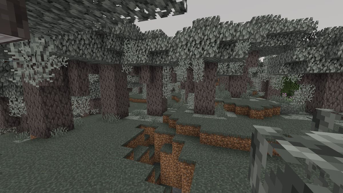 Everything You Need to Know About Minecraft 1.22 - Twinfinite