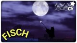 How to Enchant Rods in Fisch & All Effects - Twinfinite