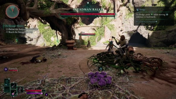 Which Is the Best Avowed Ability To Learn First? - Twinfinite