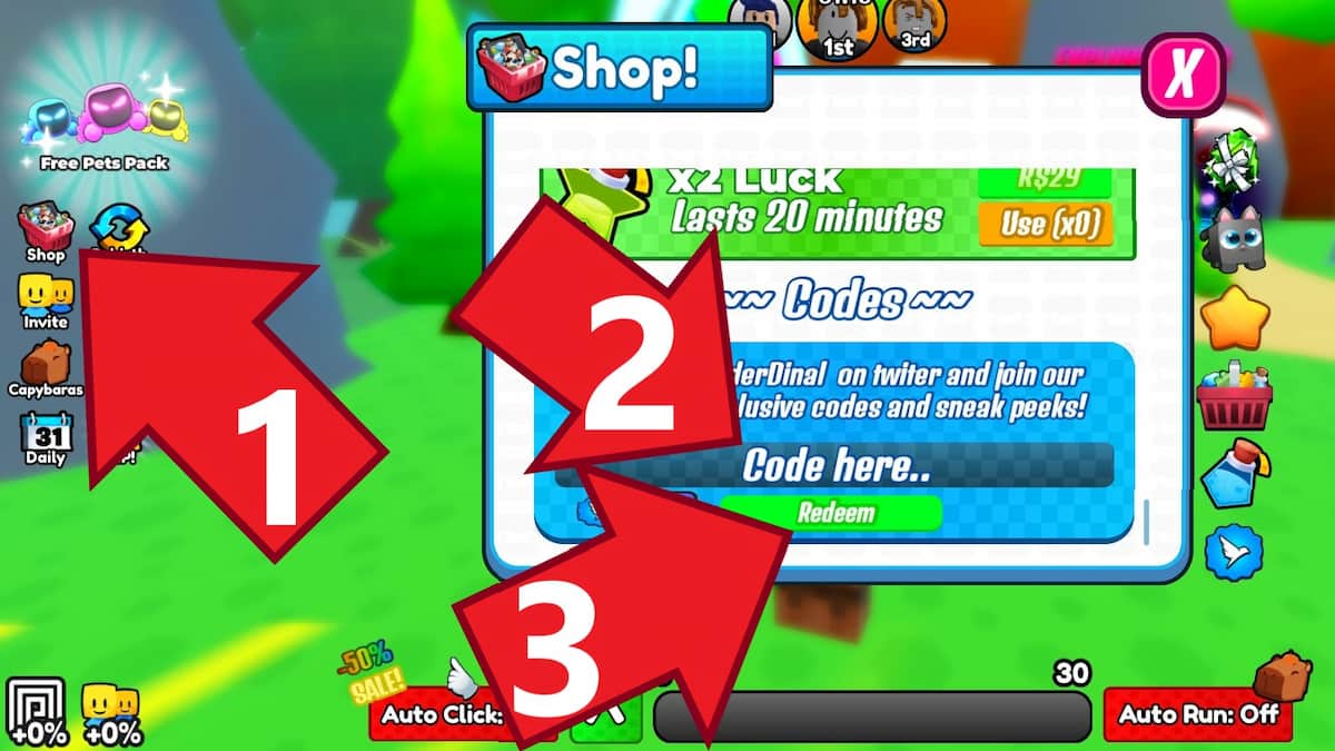 Capybara Race Simulator Codes (February 2025) - Twinfinite