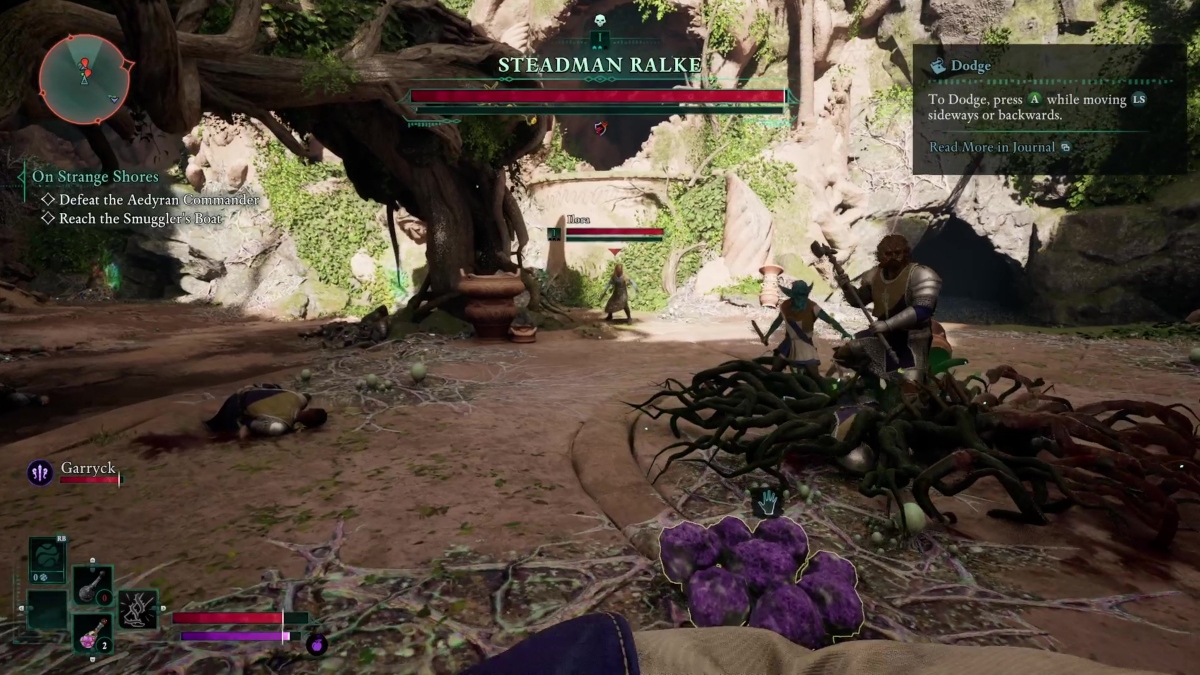 Should You Free or Leave Ilora in Avowed? - Twinfinite